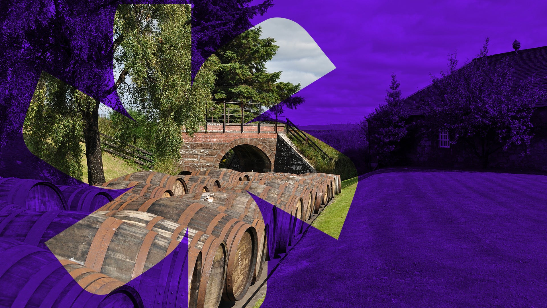 The Digital Spirits* Project: Distilling The Unexpected